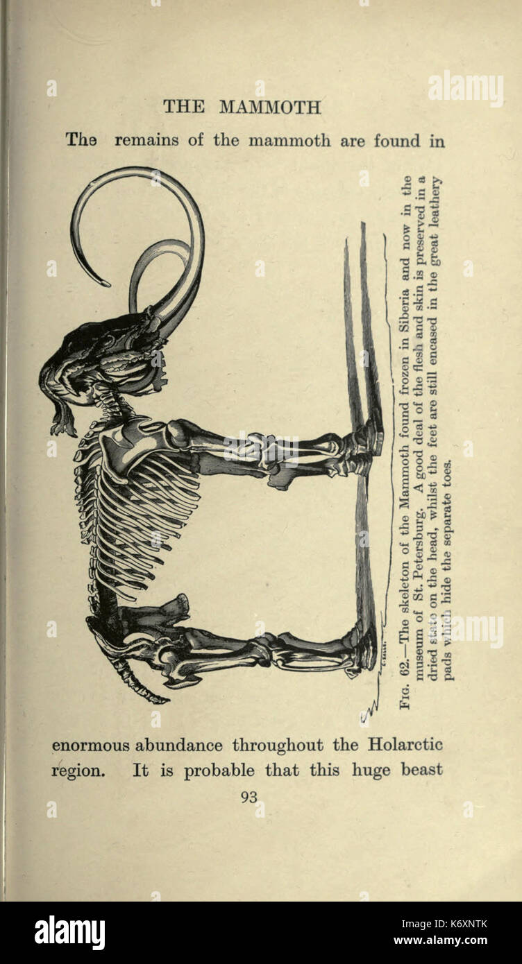 This page from 'Extinct Animals' provides an overview of species that ...