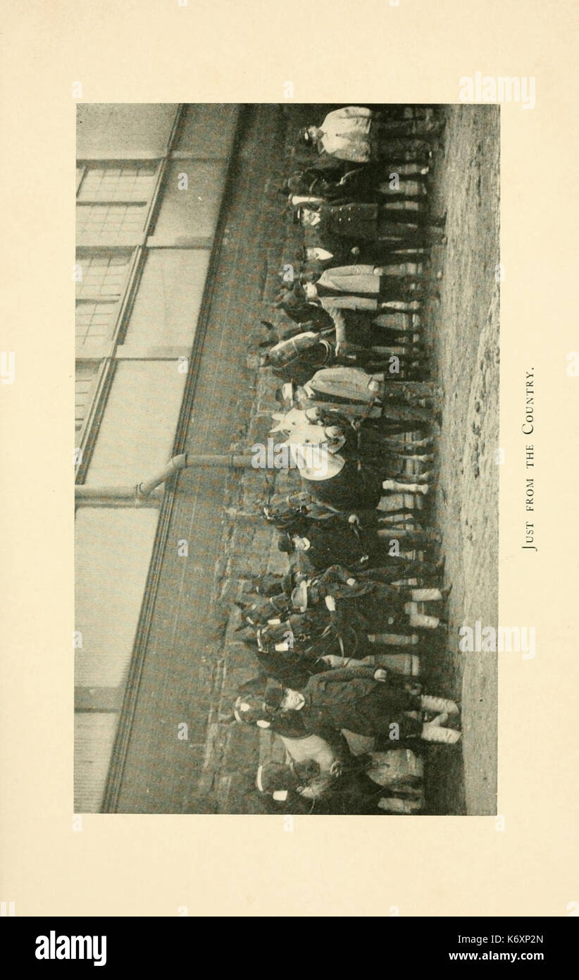 First hand bits of stable lore by Francis M. Ware; illustrated from ...