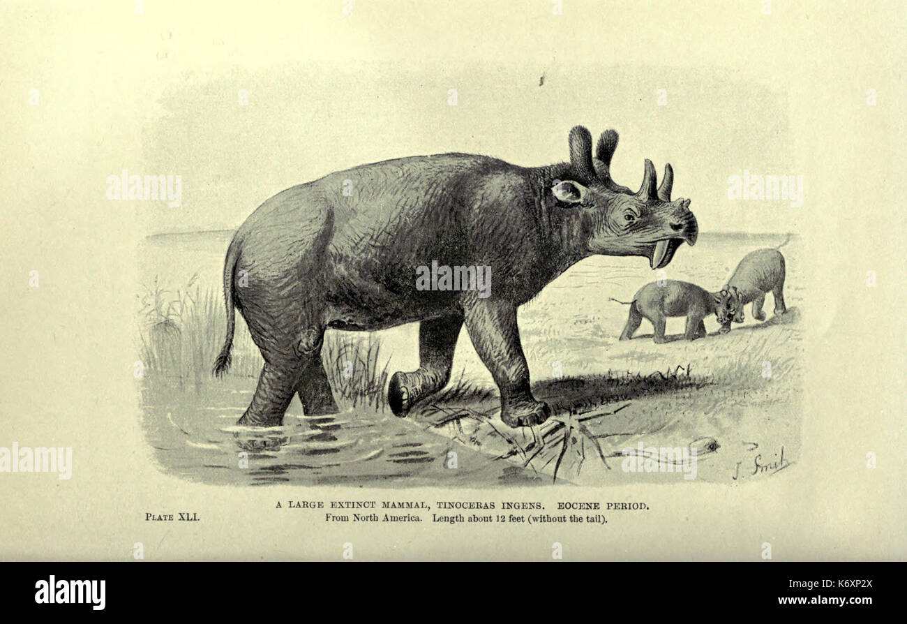 Extinct monsters and creatures of other days BHL18850618 Stock Photo ...