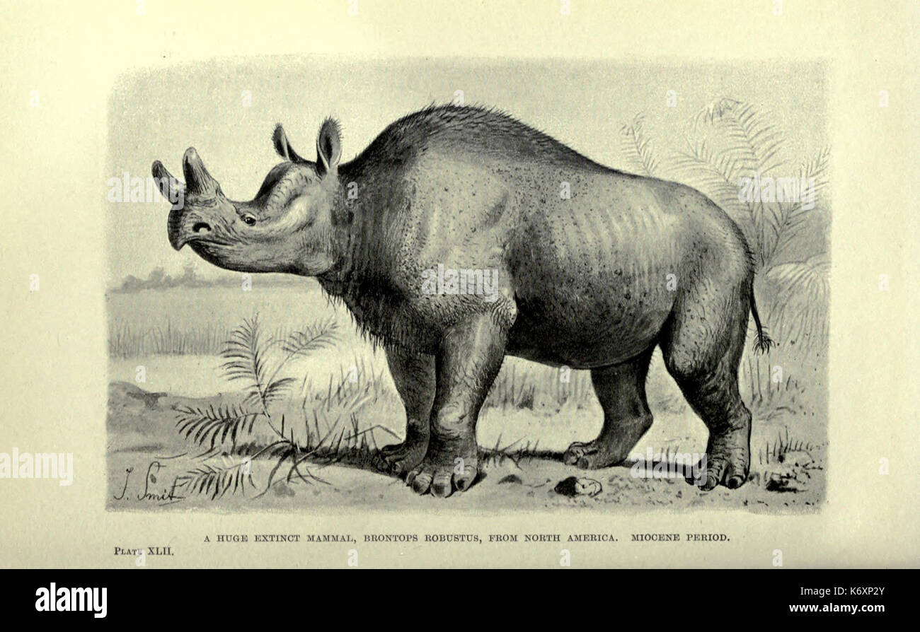 Extinct monsters and creatures of other days BHL18850626 Stock Photo ...