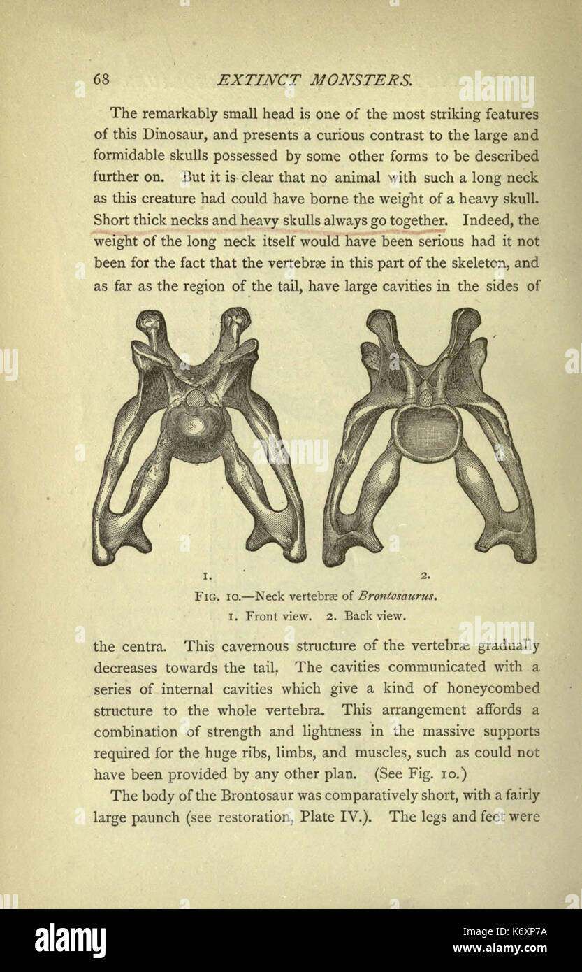 Extinct creature studies hi-res stock photography and images - Alamy