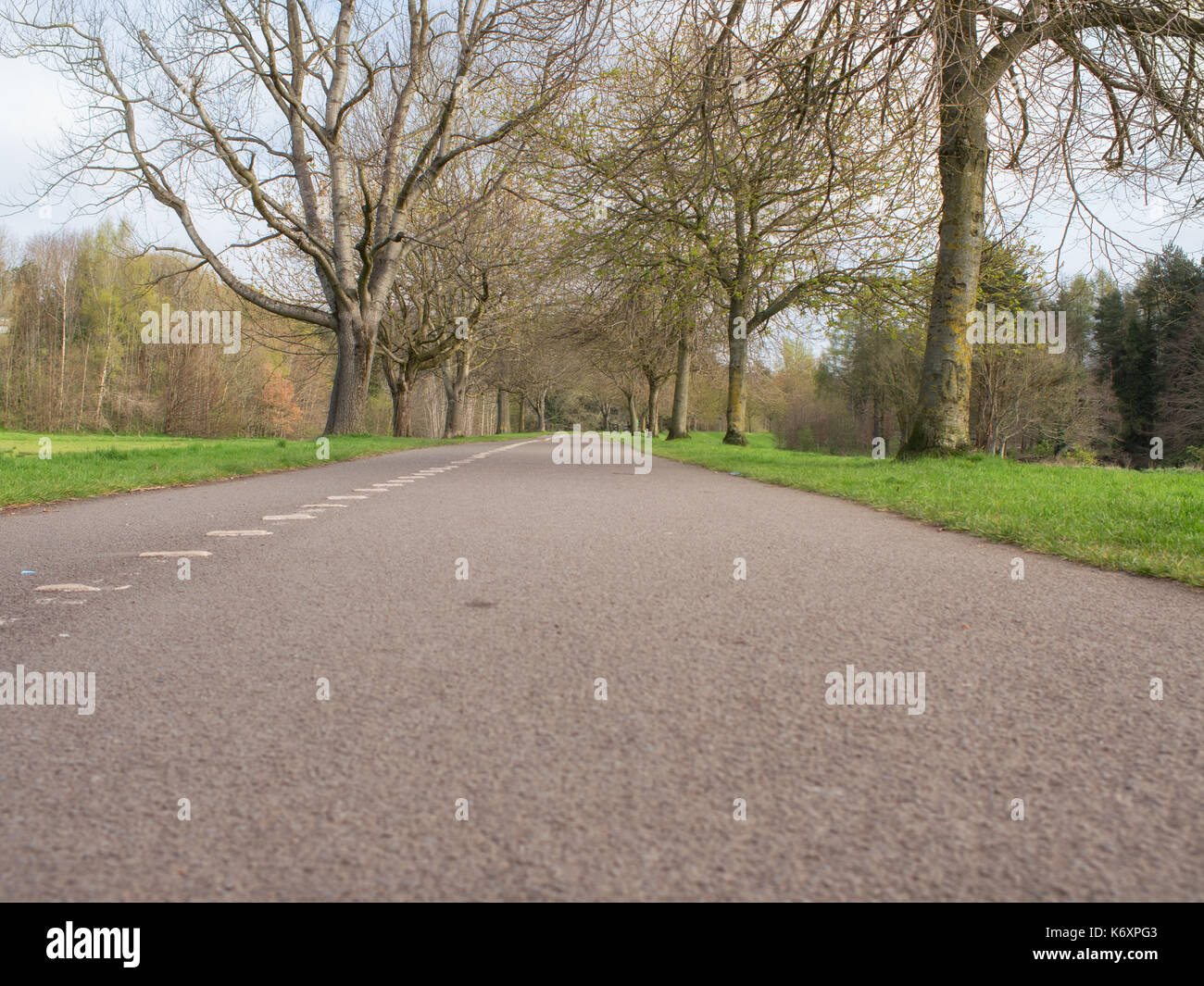 Spring country road in Northern Ireland Stock Photo - Alamy