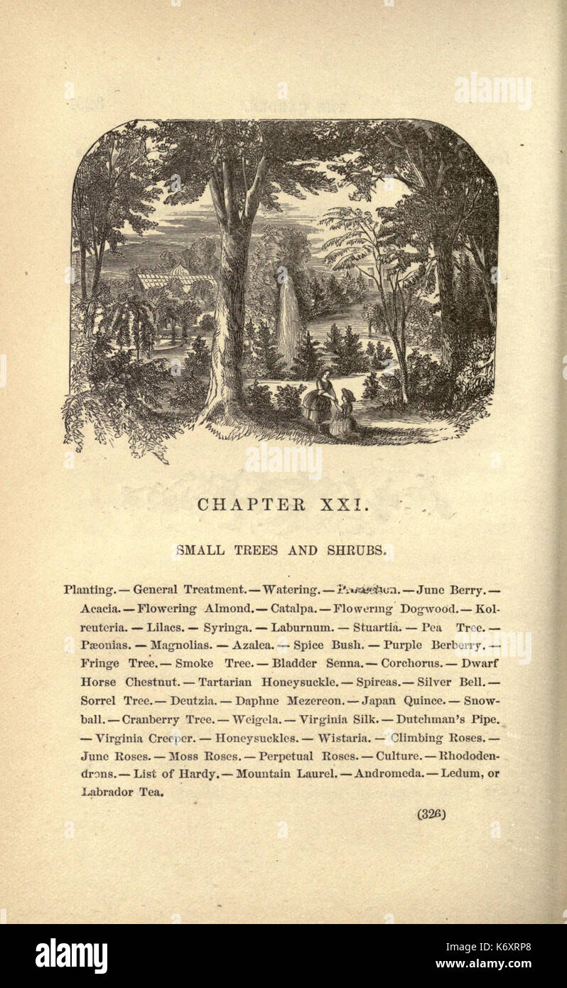 A botanical illustration from 'Flowers for the Parlor and Garden ...