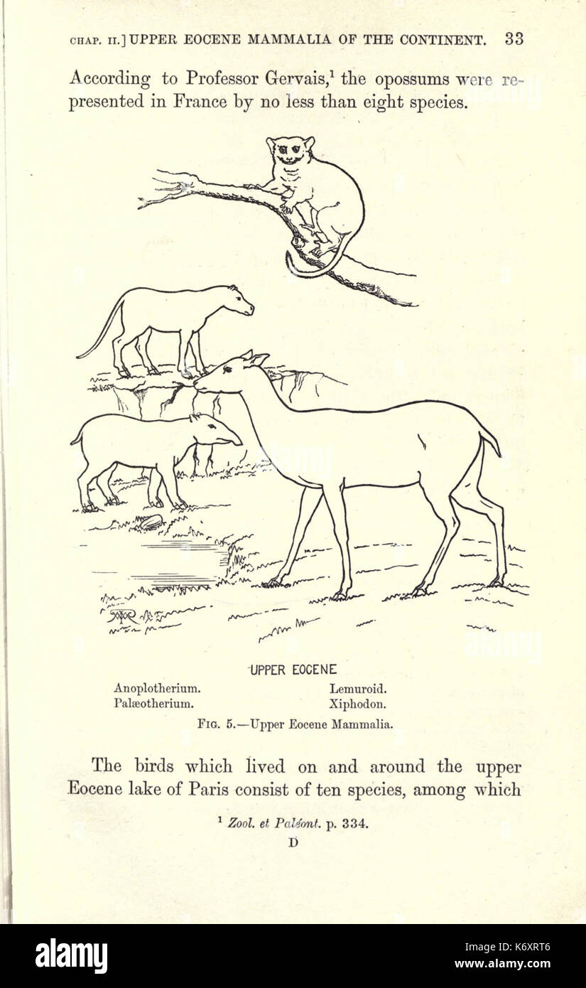 Early Tertiary Period High Resolution Stock Photography and Images - Alamy