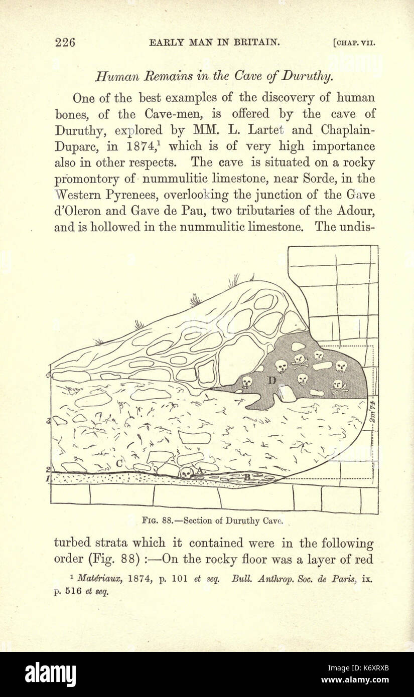 Early tertiary period hi-res stock photography and images - Alamy