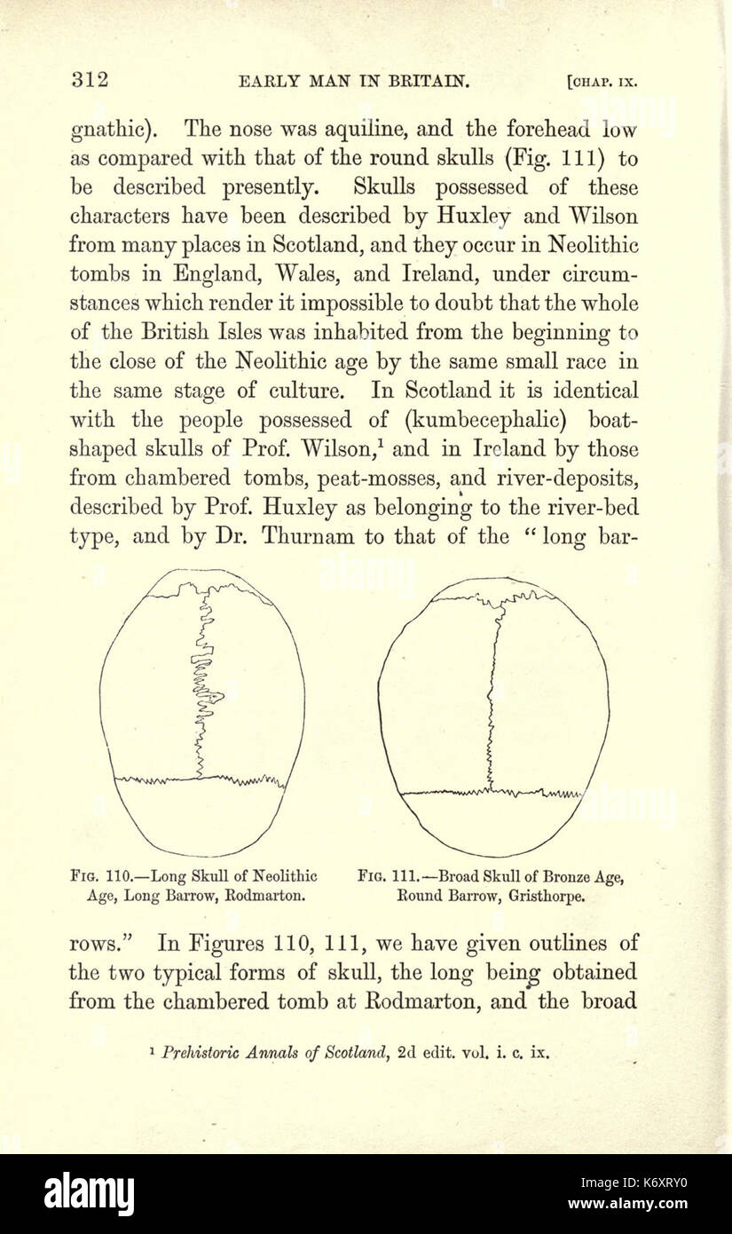 Neanderthal period hi-res stock photography and images - Alamy