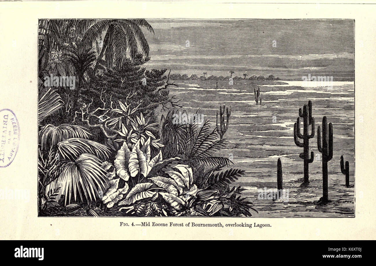 Early Tertiary Period High Resolution Stock Photography and Images - Alamy