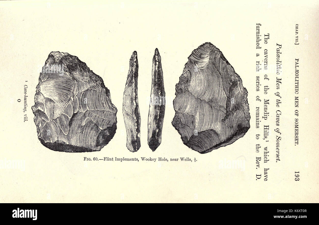 Early Tertiary Period High Resolution Stock Photography and Images - Alamy