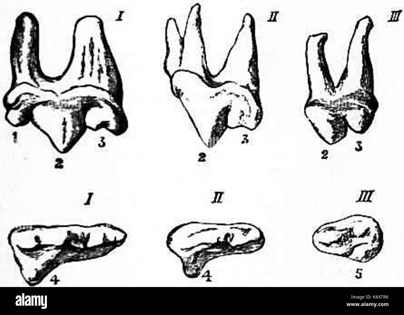 Sectorial hi-res stock photography and images - Alamy