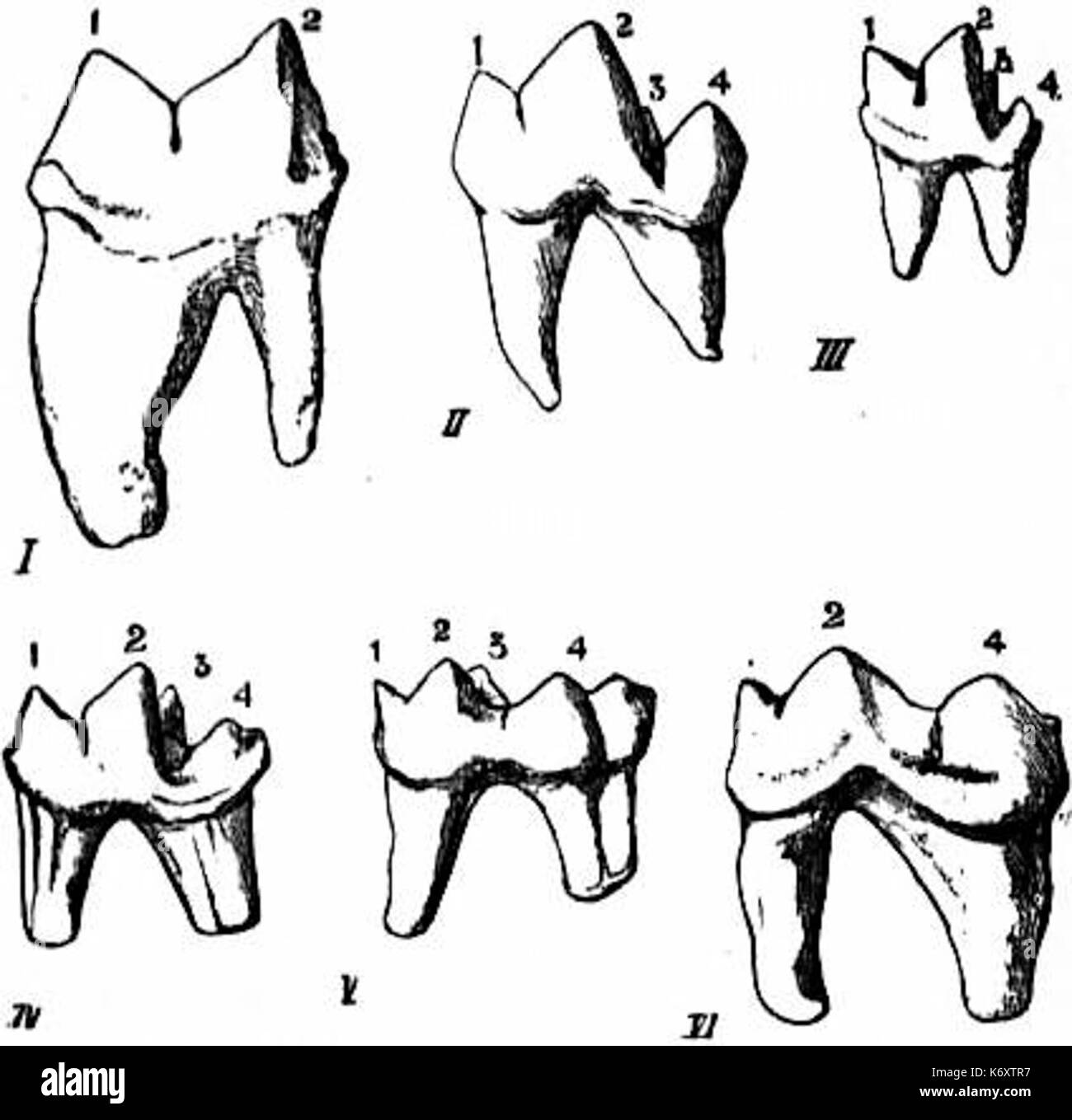 Sectorial hi-res stock photography and images - Alamy