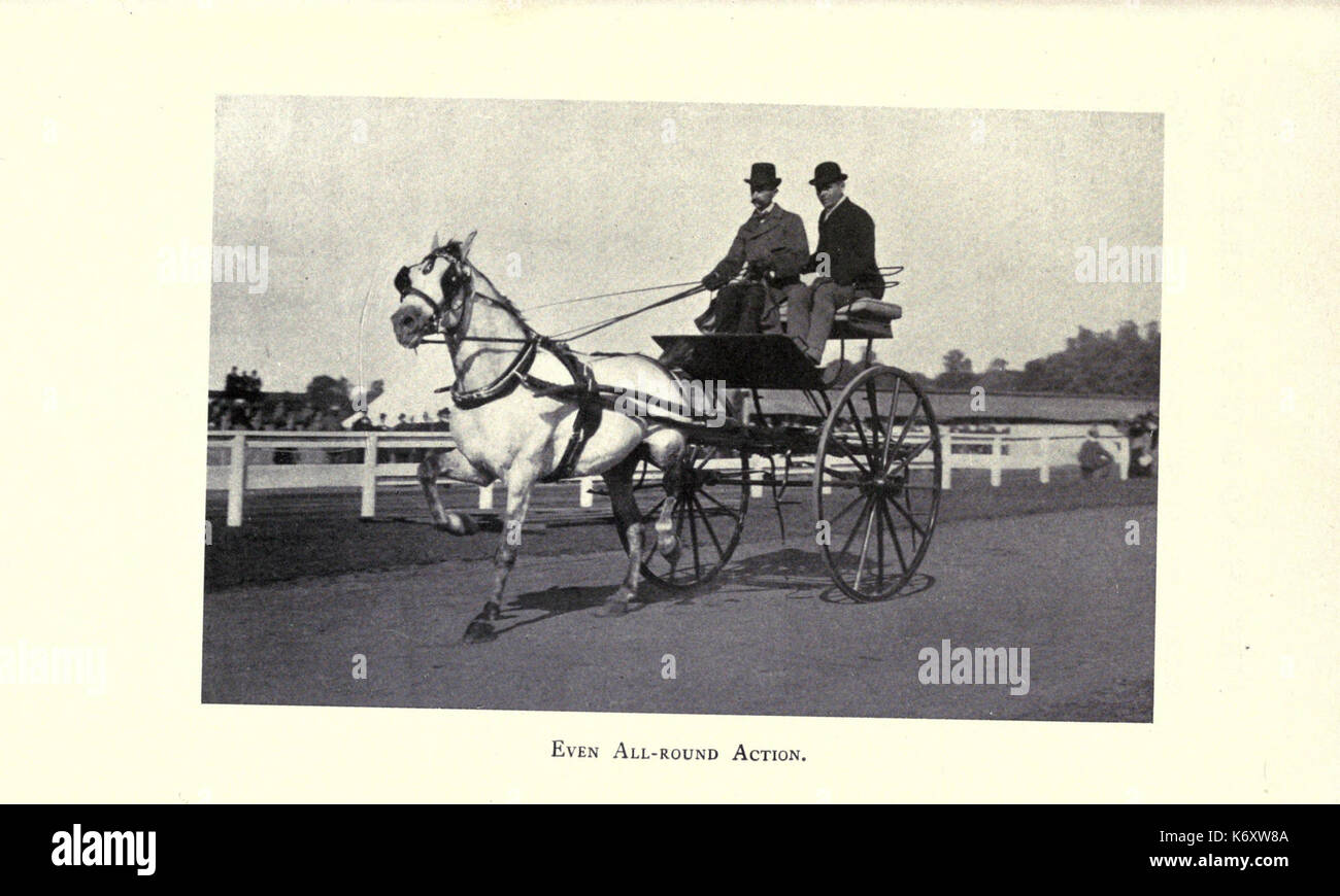 Stable lore hi-res stock photography and images - Alamy