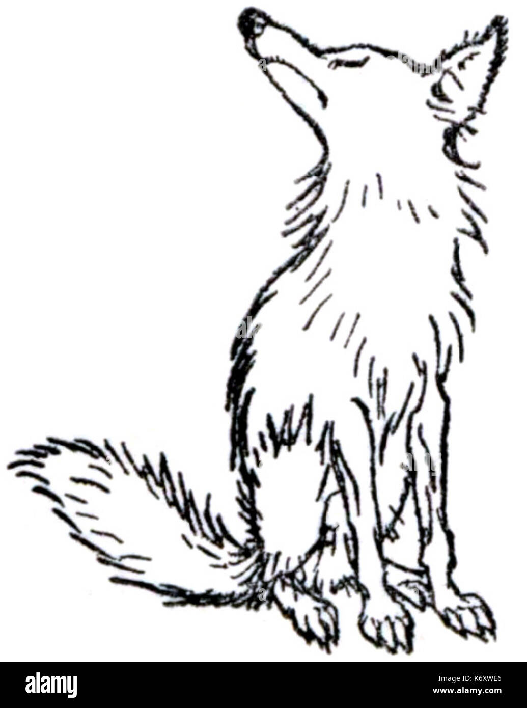 Rackham aesop fables illustration hi-res stock photography and images ...