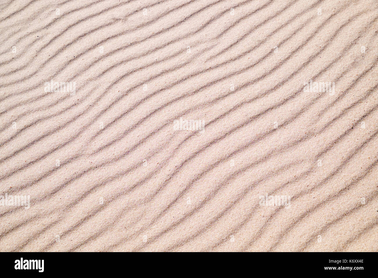 Wind ripples in the sand on the beach at Gulf Shores, Alabama Stock ...
