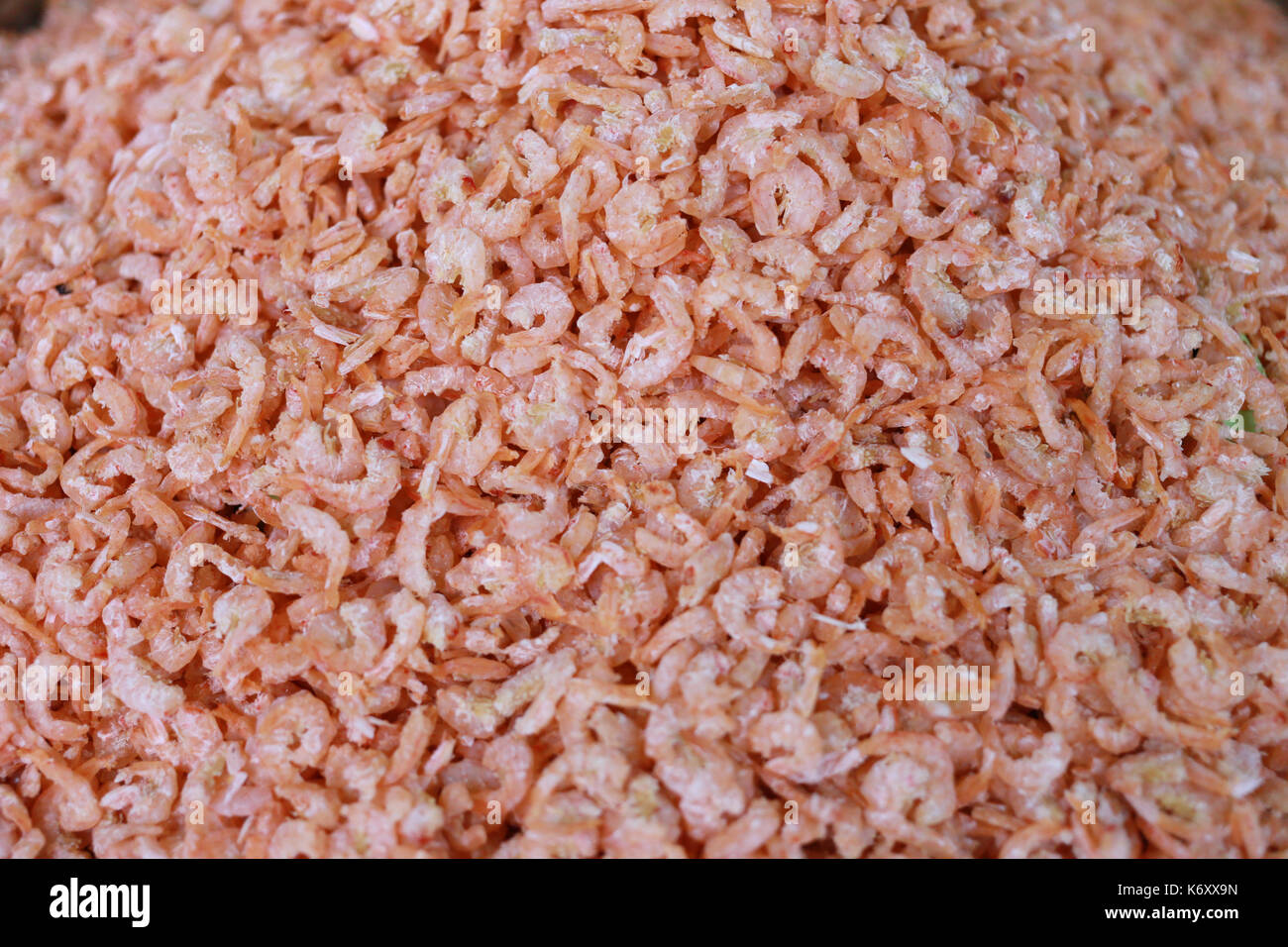 dried shrimp or prawn sunbathe,How to preserve local foods in Thailand ...
