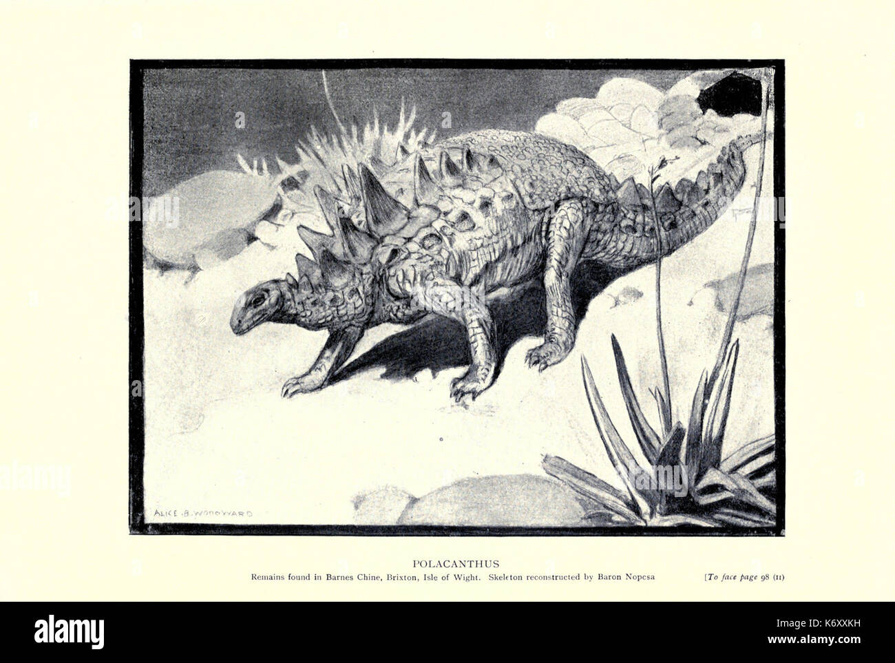 This document provides insights into the evolutionary process ...