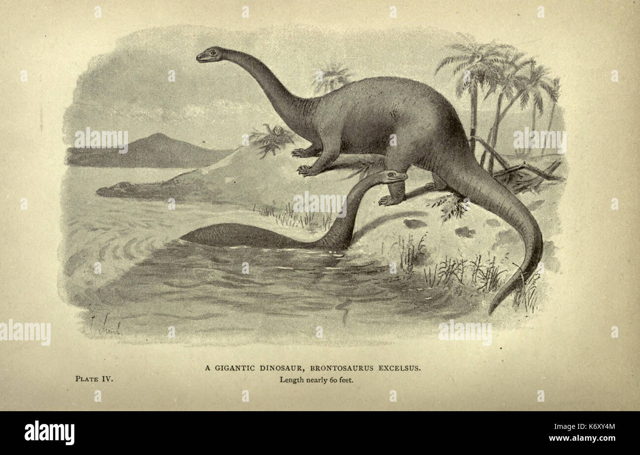 Extinct monsters BHL23904326 Stock Photo - Alamy