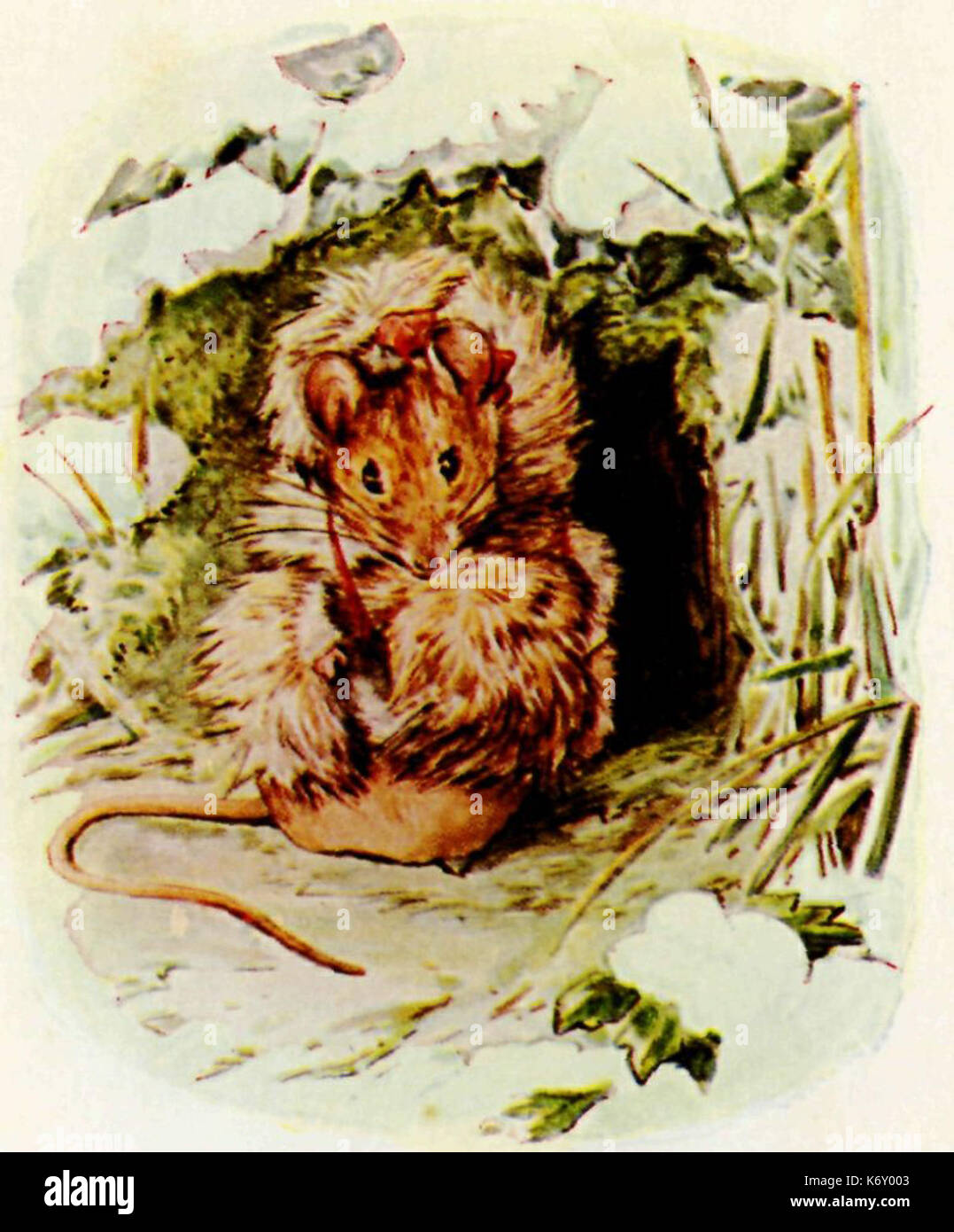 Flopsy bunnies image029 Stock Photo - Alamy