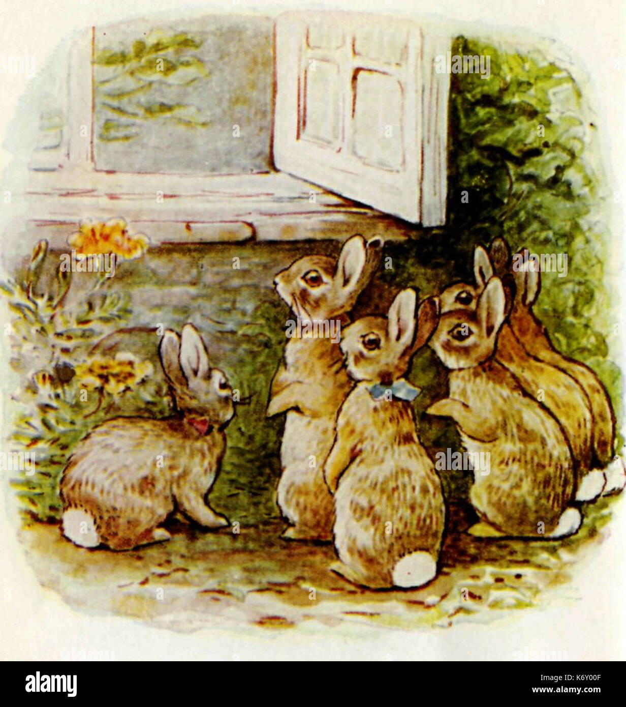 Flopsy bunnies image024 Stock Photo - Alamy