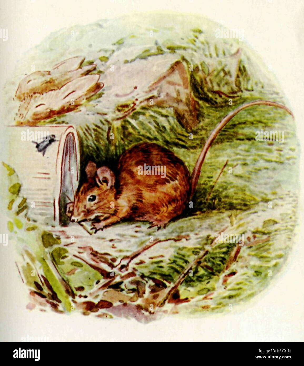 Flopsy bunnies image011 Stock Photo - Alamy