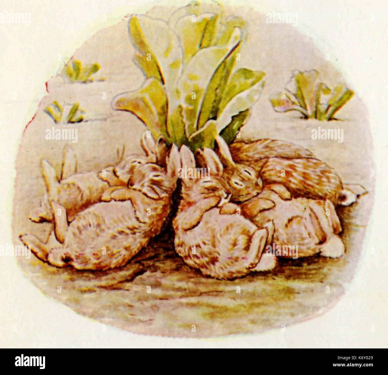 Flopsy bunnies image004 Stock Photo - Alamy