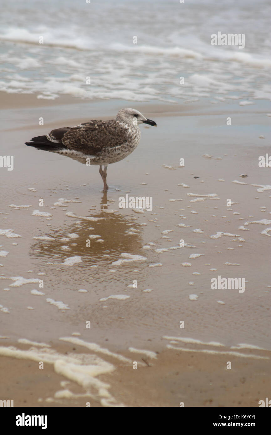 Depth of love hi-res stock photography and images - Alamy