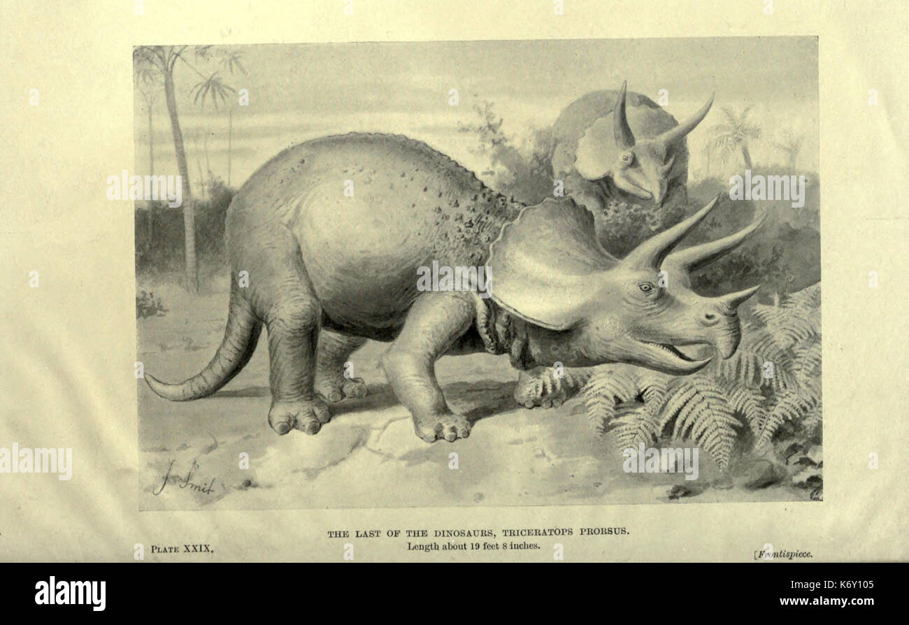 Extinct monsters and creatures of other days BHL18850285 Stock Photo ...