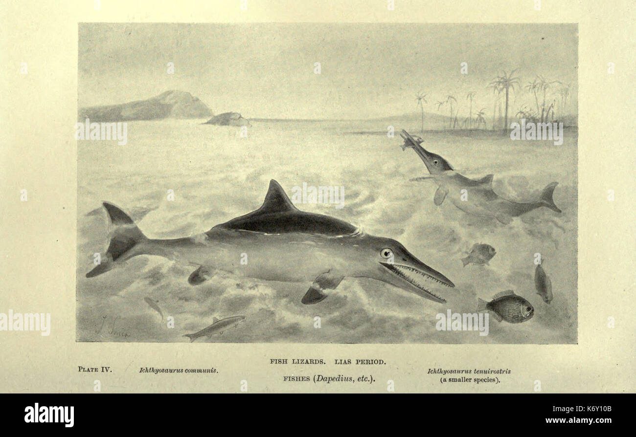 Extinct monsters and creatures of other days BHL18850356 Stock Photo ...