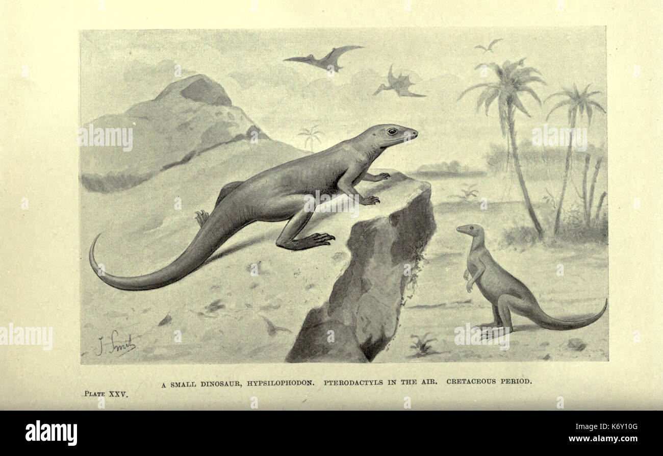Extinct monsters and creatures of other days BHL18850506 Stock Photo ...