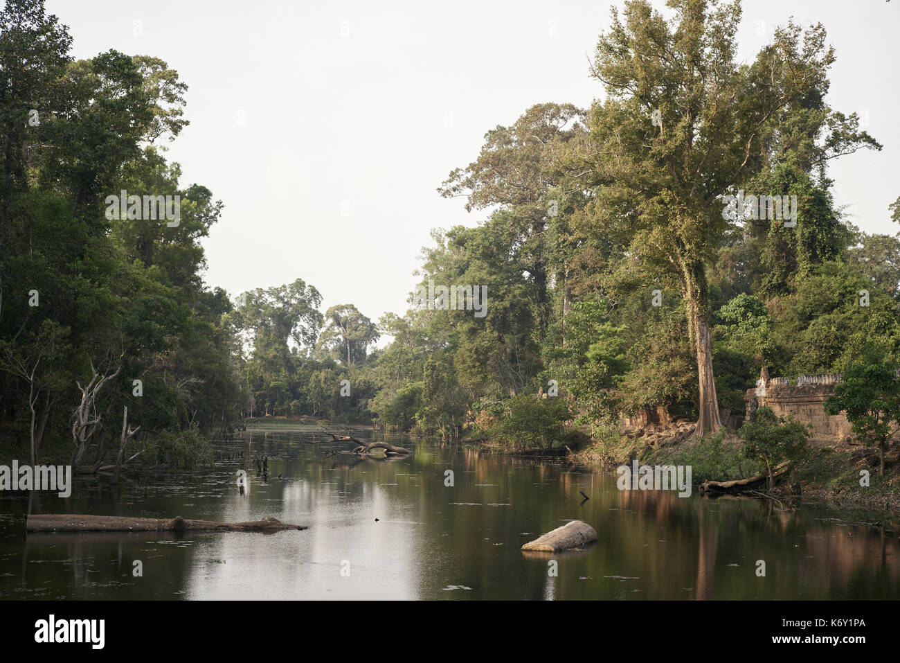 River in Angkor Wat, Siem Riep, Cambodia Stock Photo - Alamy