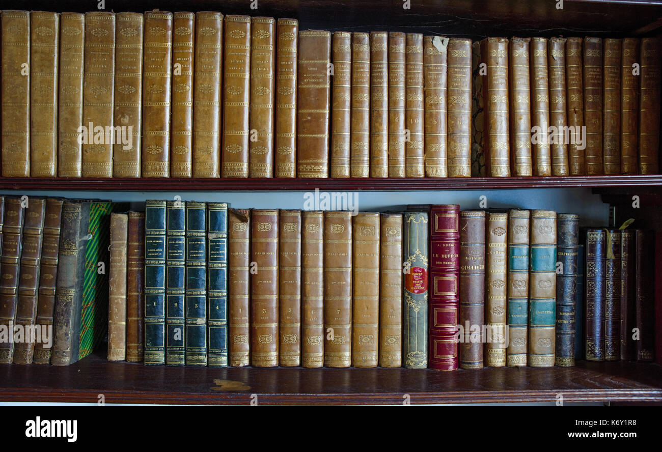 Vintage library hi-res stock photography and images - Alamy