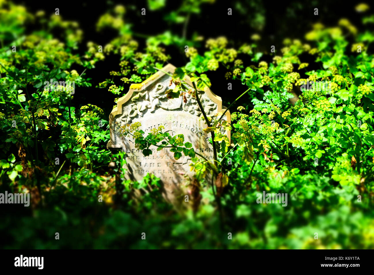 Evironmental hi-res stock photography and images - Alamy