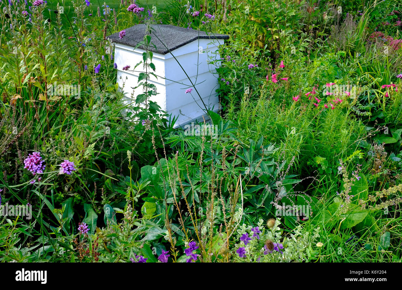 Beehive in garden hi-res stock photography and images - Alamy