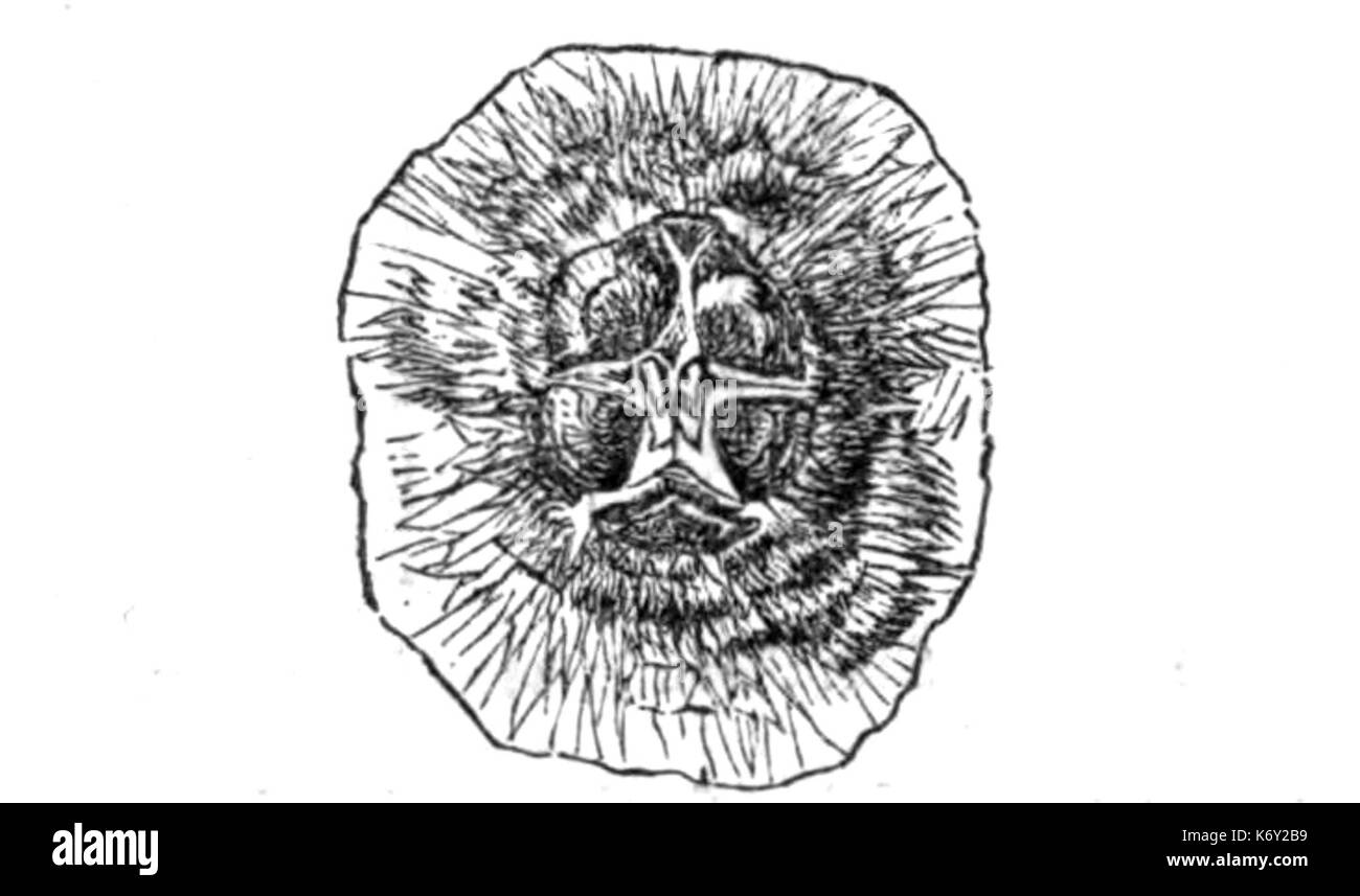 The spinners Black and White Stock Photos & Images - Alamy