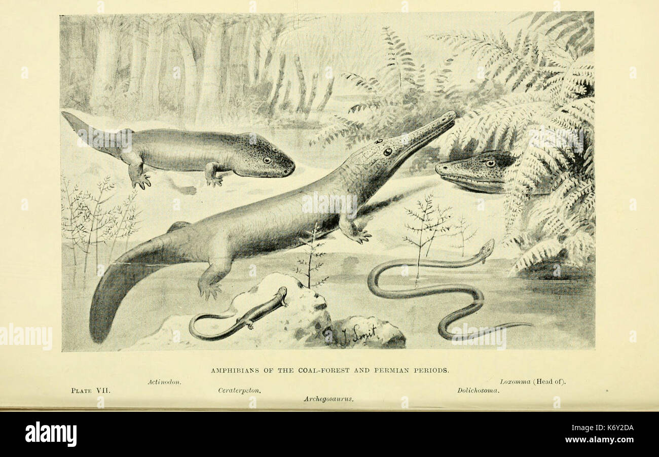 Extinct monsters map hi-res stock photography and images - Alamy