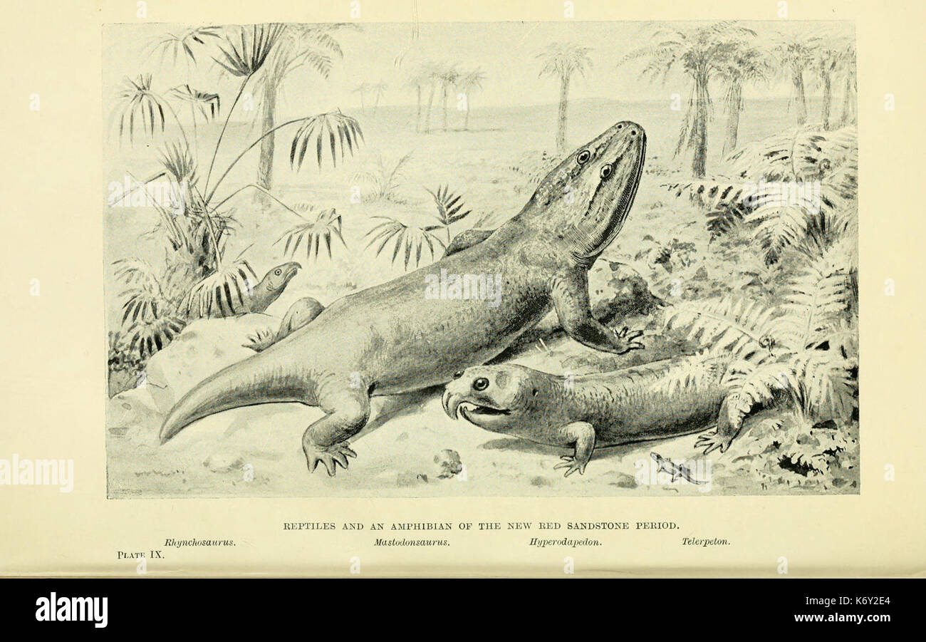 Extinct monsters map hi-res stock photography and images - Alamy