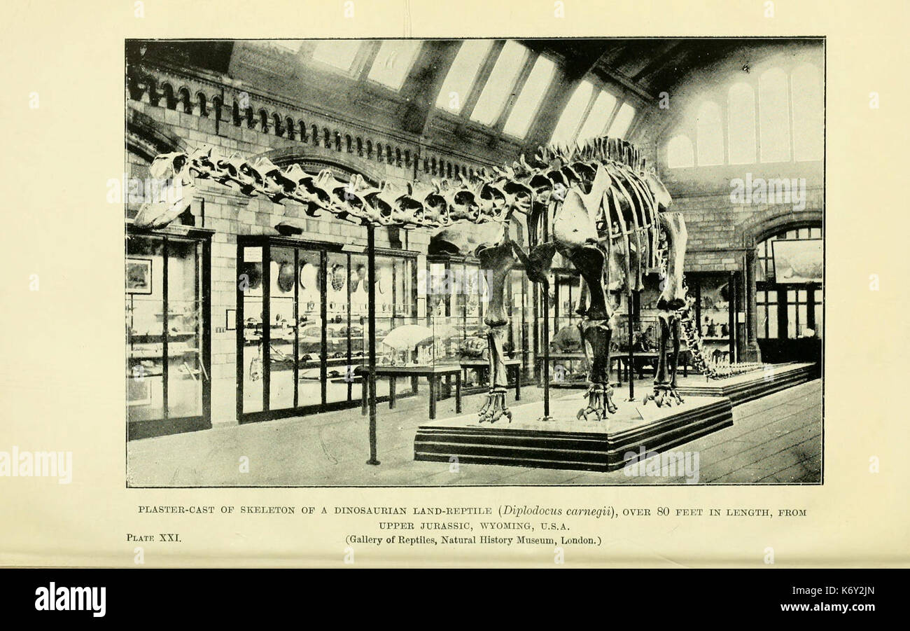 Extinct monsters map hi-res stock photography and images - Alamy