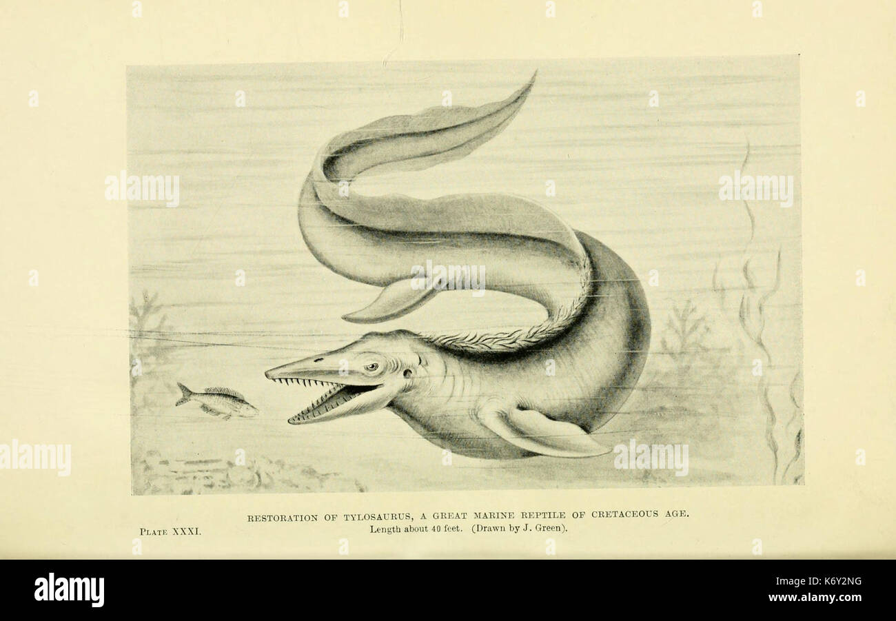 Extinct monsters map hi-res stock photography and images - Alamy