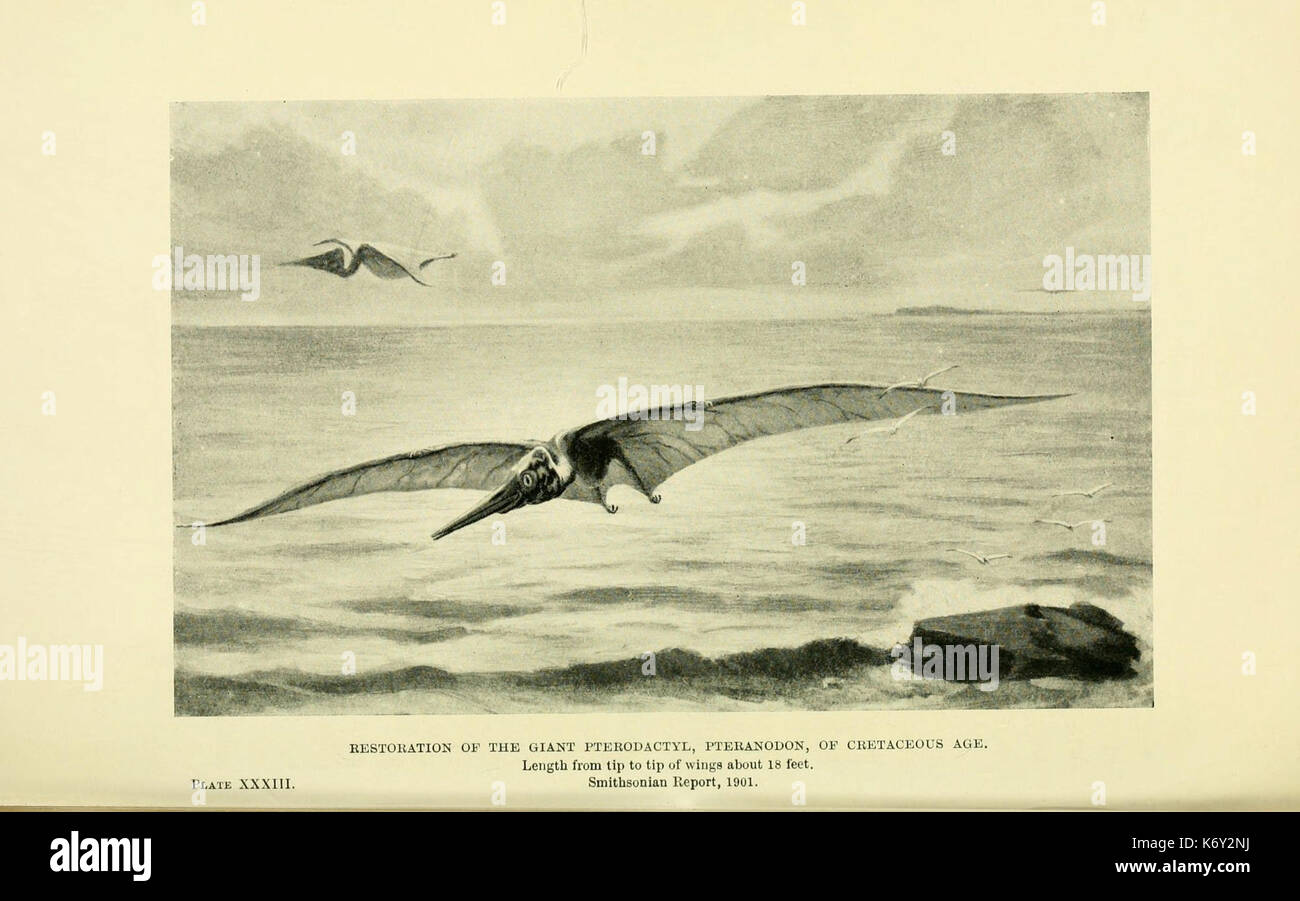 Extinct monsters map hi-res stock photography and images - Alamy