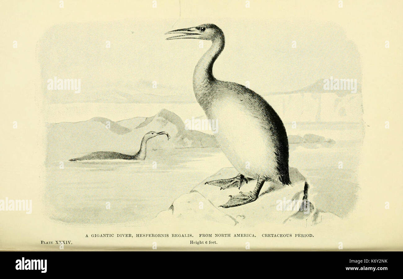 Extinct monsters map hi-res stock photography and images - Alamy