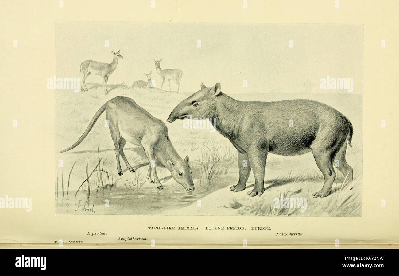 Extinct monsters map hi-res stock photography and images - Alamy