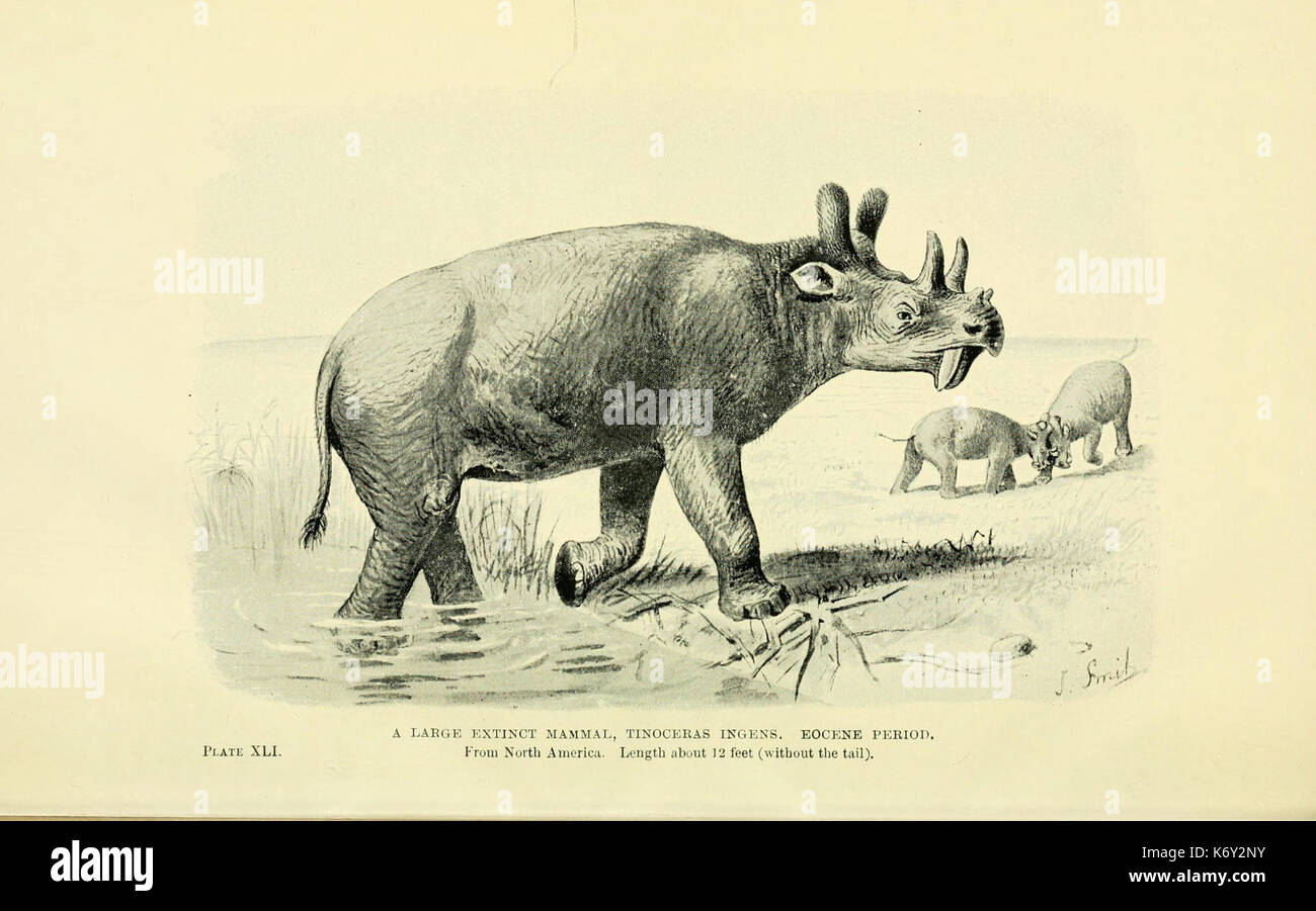 Extinct monsters map hi-res stock photography and images - Alamy