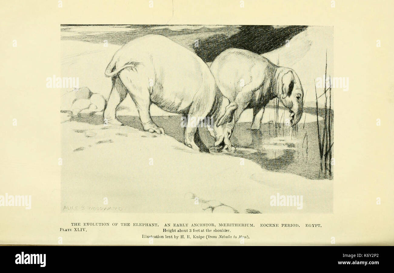 Extinct monsters map hi-res stock photography and images - Alamy