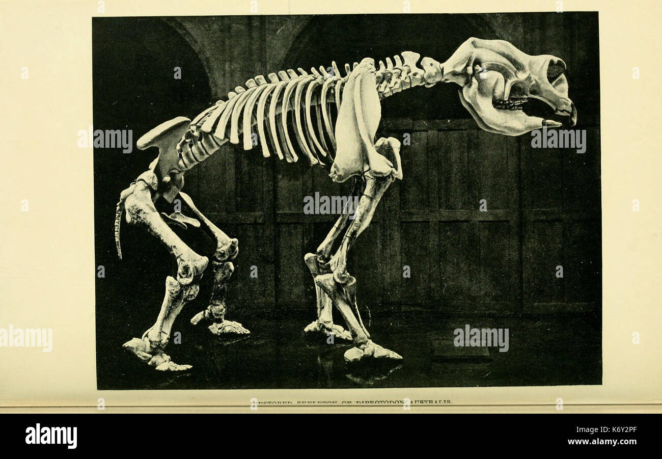 Extinct monsters map hi-res stock photography and images - Alamy