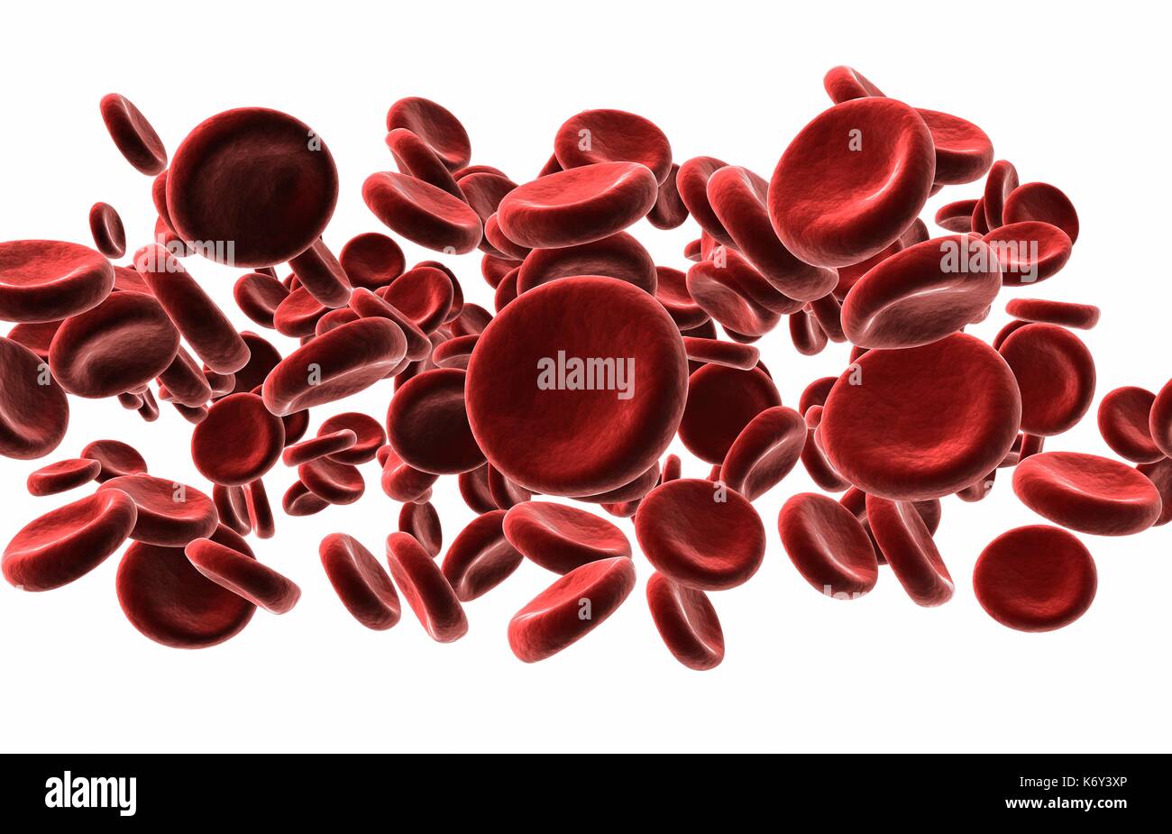 Highly detailed Red Blood Cells flowing against isolated white ...
