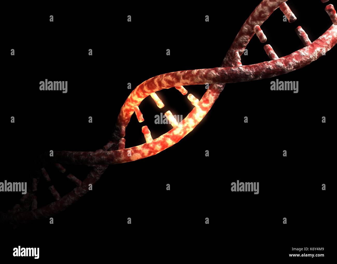 Double helix model hi-res stock photography and images - Alamy
