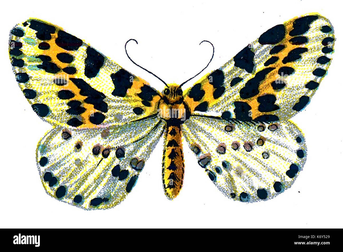 Abraxas Cut Out Stock Images & Pictures - Alamy