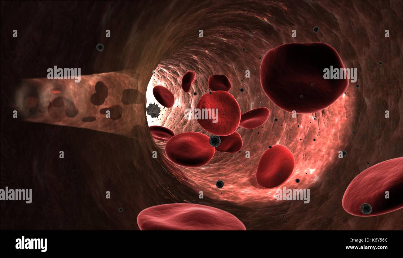 Blood cells flowing in a transparent artery backdrop with blood cells ...