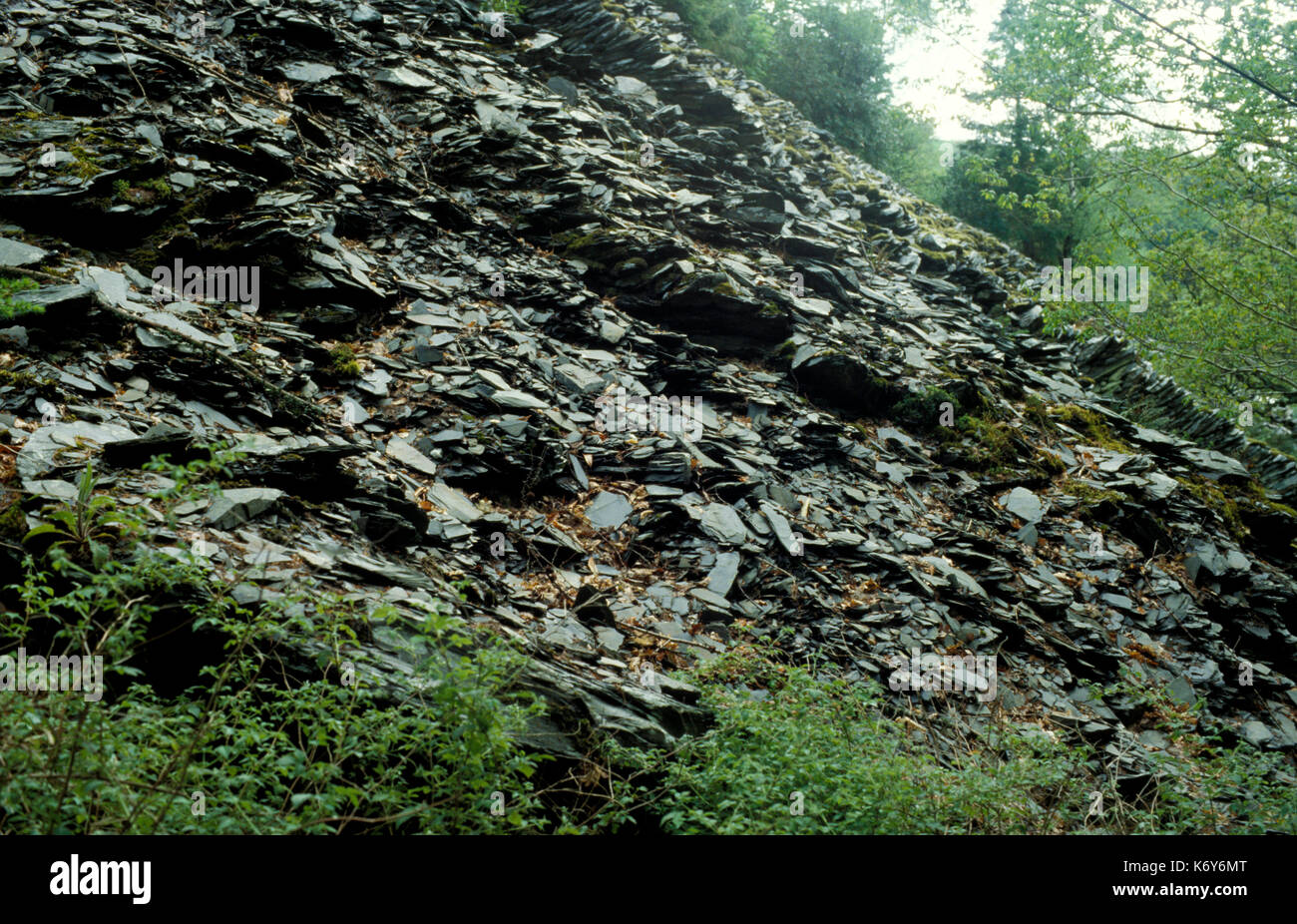 Metamorphic rock slate hi-res stock photography and images - Alamy