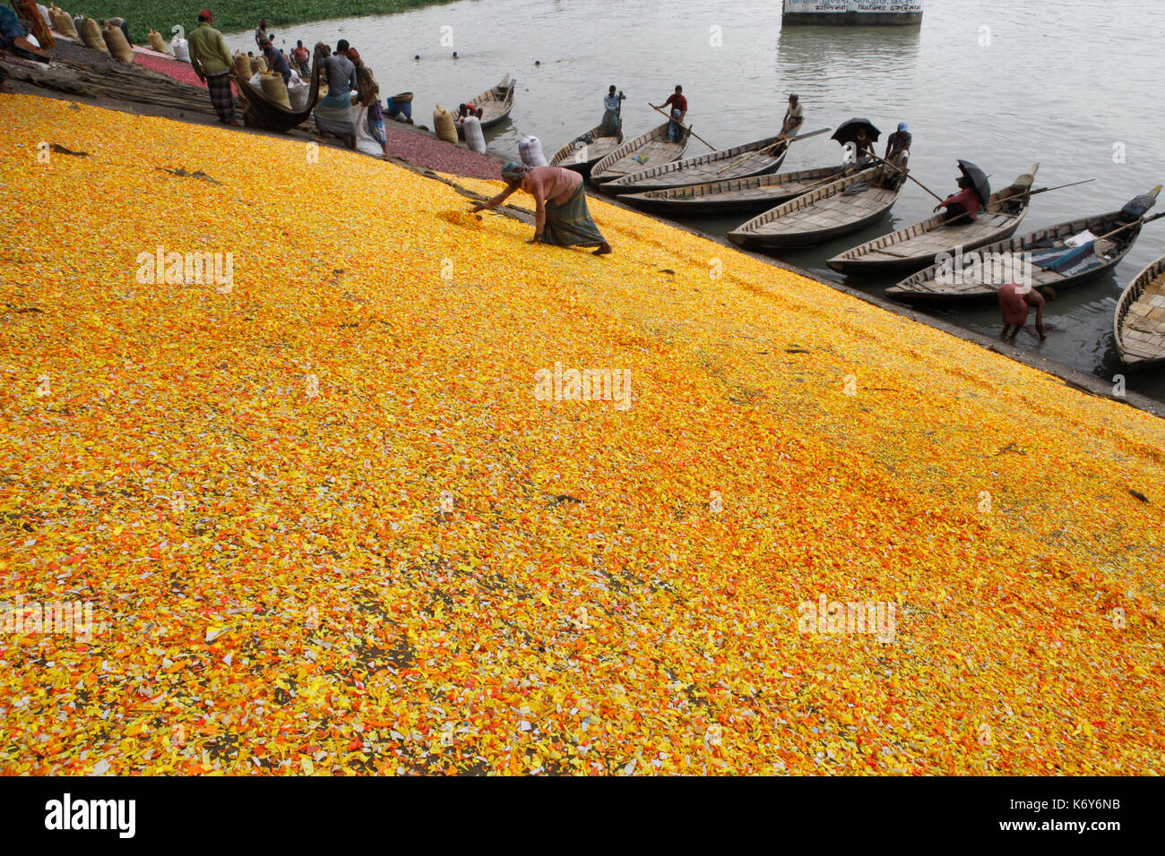 Drying recycled shredded plastic raw materials on the bank of the ...