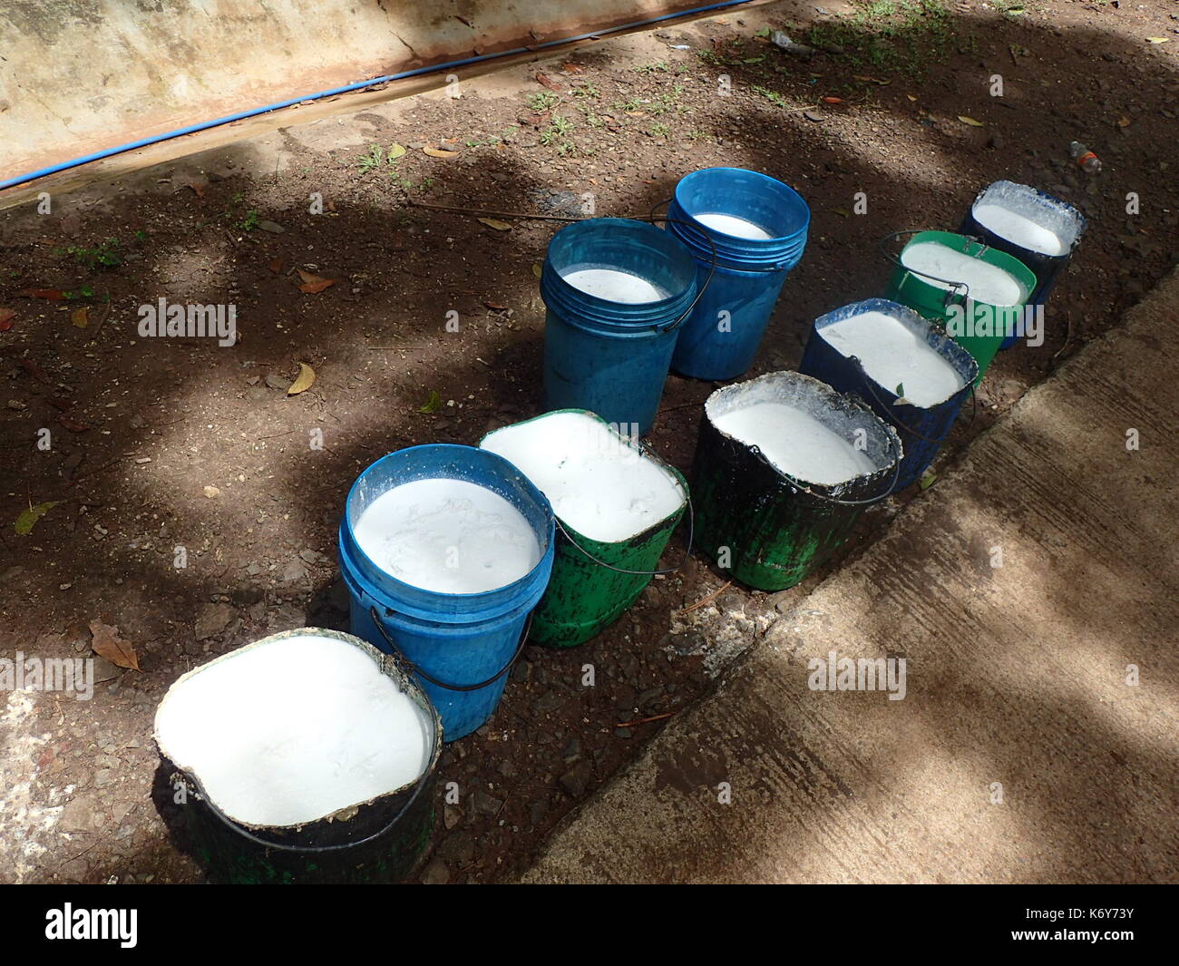 Philippines. 13th Sep, 2017. Collected resin from the rubber tree ...